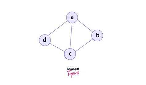 graph data structure scaler topics