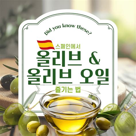스페인에서 올리브와 올리브유를 즐기는 방법 건강한 삶을 위한 꿀팁