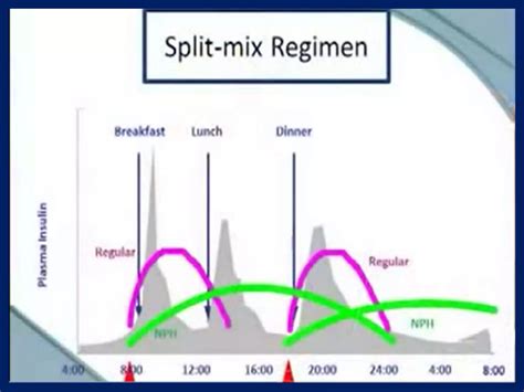 Insulin Therapy Art Of Initiation And Titration Pptx