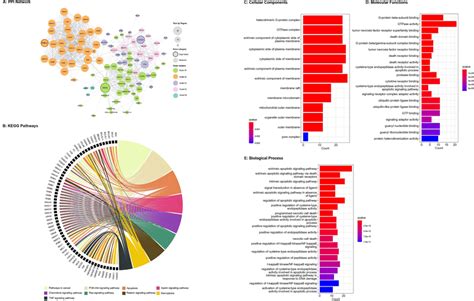 Bioinformatics Analysis Showed Multidimensional Role Of Anticancer Download Scientific Diagram