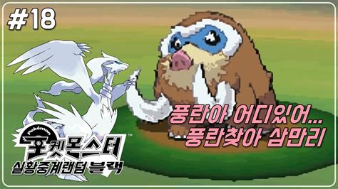 [포켓몬 랜덤블랙버전 18] 풍란아 어디있니 사람을 찾아요 풍란찾아 삼만리 Youtube