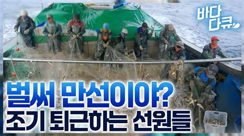 더 넣을 곳도 없다 집 가자 줄줄이 올라온 금빛 물고기 어창 가득 채워 돌아가는 배 조기 퇴근에 웃음만 나오는 어부들 3박 4일 제주 바다 만선 조기잡이