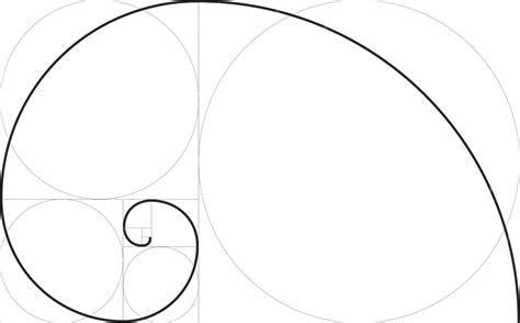Geometria Sagrada Espiral De Fibonacci Vetor Premium