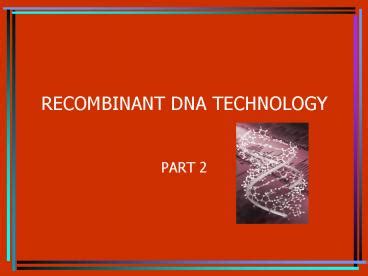 PPT RECOMBINANT DNA TECHNOLOGY PowerPoint Presentation Free To View Id 3f5c51 ZjMyZ