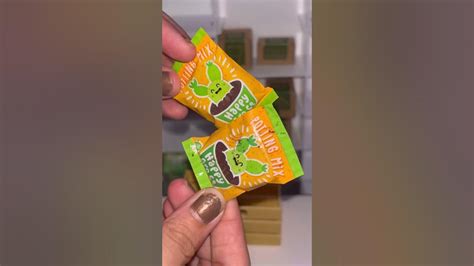 Miniverse Mega Botanical Kit Unboxing 🌸🌹🪴🌵 Youtube