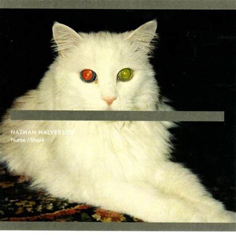 Nathan Halverson Nathan Halverson Nathan Halverson Nurse Shark