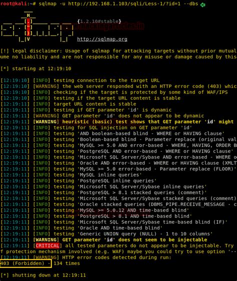 Penetration Testing Lab Setup Squid Proxy