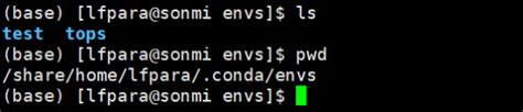 使用slurm在集群上使用python Lab SCUT CCMP DOCUMENTATION BLOG