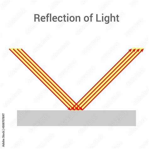Regular Reflection Of Light Diagram Of Specular Reflection Vector