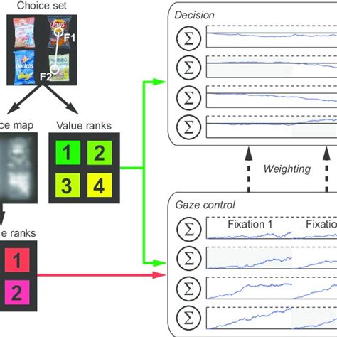 dual sequential sampling model of decision making the visual download scientific diagram