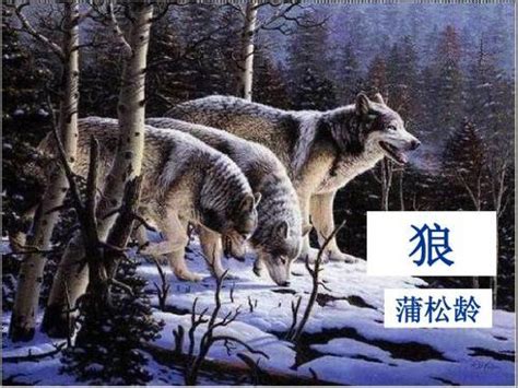 狼蒲松龄原文翻译教学设计及ppt课件 知乎