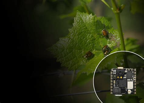 Arduino Based Insect Counter In Vineyards Other Projects Hiveeyes