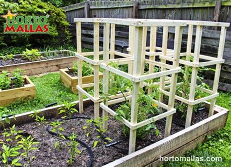 Benefits Of Training Tomato Plants With Netting As A Way To Produce