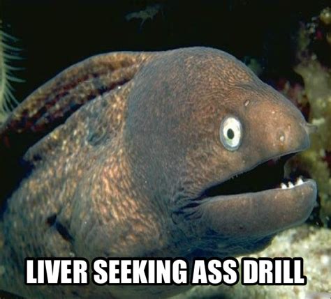 Eel Meme By Gublerrussia On Deviantart