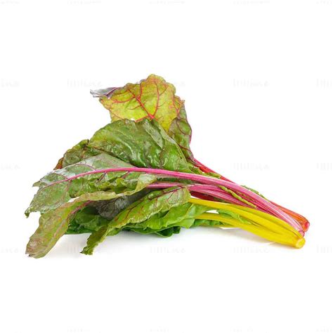 Vegetable Beet Photo