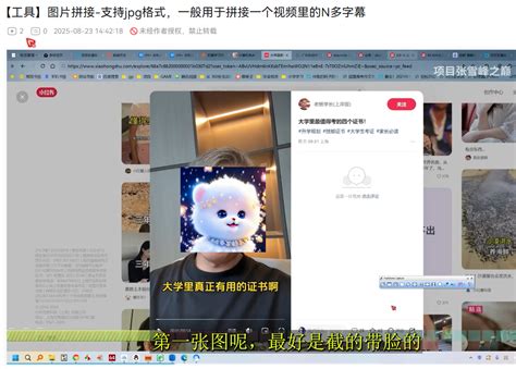 【自动化】【python】pyautogui：让你的python自动化操作电脑，解放双手！ Csdn博客