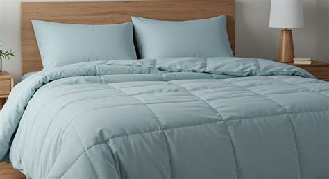 곰팡이·진드기 걱정 끝 장마철 습도 관리로 건강 지키는 법 운동과 식단 마음까지 챙기는 건강 습관 Coreme