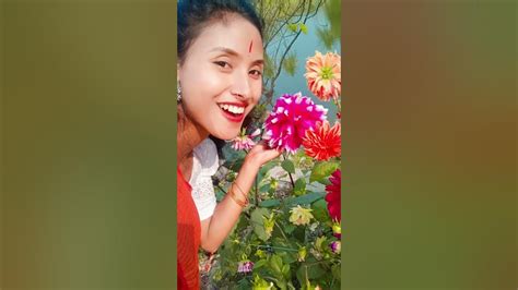 ফুল বাগান দেখে মন ভরে গেল 🌻🌼🏵️🥰 Youtubeshorts Subscribe Trendingshorts Viral Video Youtube