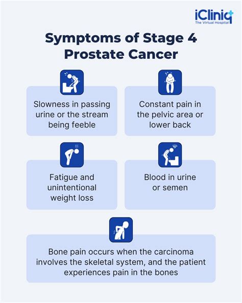 Prostate Cancer Stages Symptoms