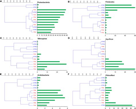 16s Amplicon Sequencing Of Microbial Communities In Enriched And Non Enriched Sediments Of Non