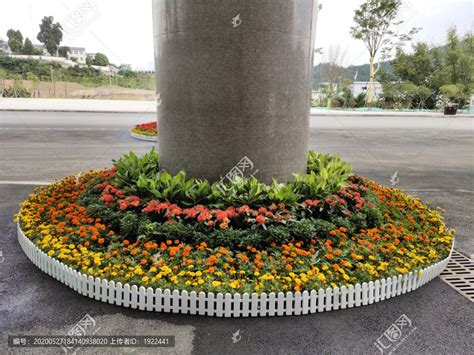 花坛里的花花卉植物花草摄影素材汇图网