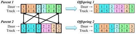 A Cycle Crossover Operation Example Download Scientific Diagram