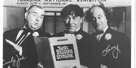 The Three Stooges Curly Joe