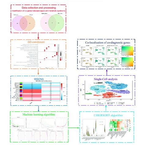 Research Technology Flow Chart Download Scientific Diagram