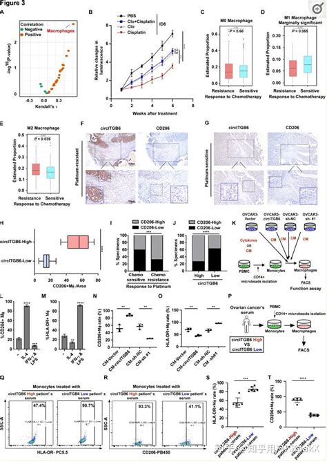 夏建川教授团队研究之 鉴定卵巢癌顺铂化疗耐药关键信号，为新的靶向药物开发提供新思路 知乎