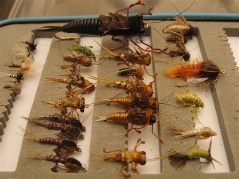 Nymphing For Trout Ebook Trout Pro Store