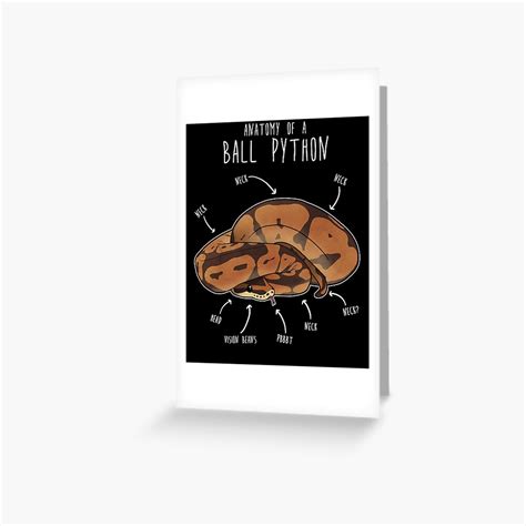 Anatomy Of A Ball Python Greeting Card By Psitta Redbubble