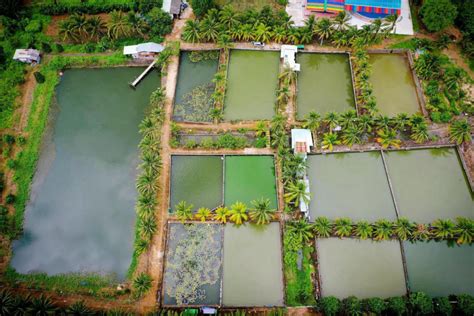 Kh M Ph Khu Sinh Th I D Ngo I Su I Gi U C C Hot Ch U C