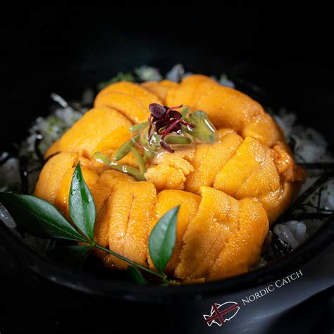 Sea Urchin Roe Uni Delivery Fresh From Santa Barbara Nordic Catch