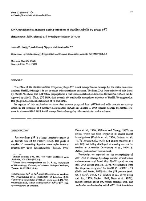 Pdf Dna Modification Induced During Infection Of Bacillus Subtilis By Phage φ3t