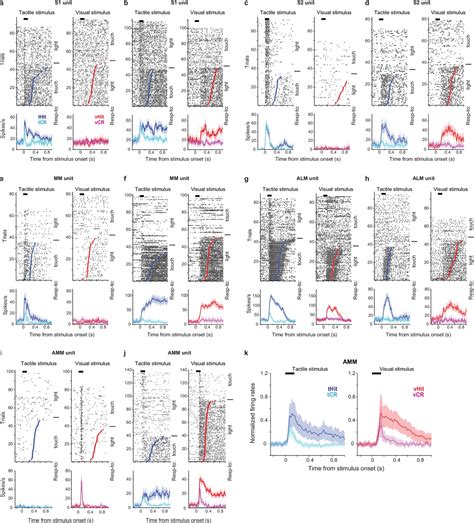 Figures And Data In Rule Based Modulation Of A Sensorimotor Transformation Across Cortical Areas