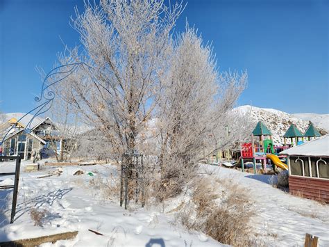 Нэг дэлхий эх хүүхдийн амралт