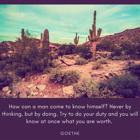 Perry Rinato Realtor