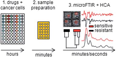 Rapid Recognition Of Drug Resistance Sensitivity In Leukemic Cells By