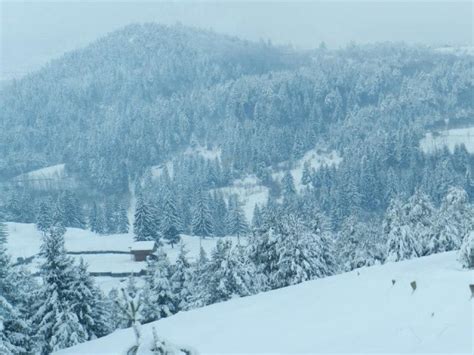 Galerie Foto Zona Galion Centrul De Turism Comănești