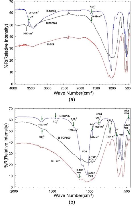 ft ir spectra for b tcp95 b tcp800 and m tcp900 download