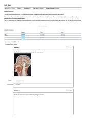 Lab Quiz SC FALL BIO Pdf Lab Quiz Due Sep At Pm Points Questions