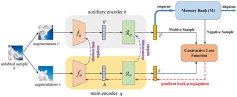 Remote Sensing Free Full Text Classification Of Ground Based Cloud Images By Contrastive