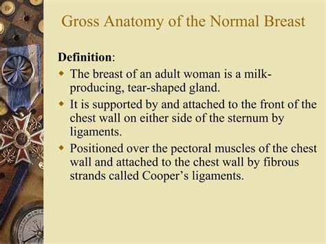 Unit1 Breastanatomyandphysiology 170811093651pdf