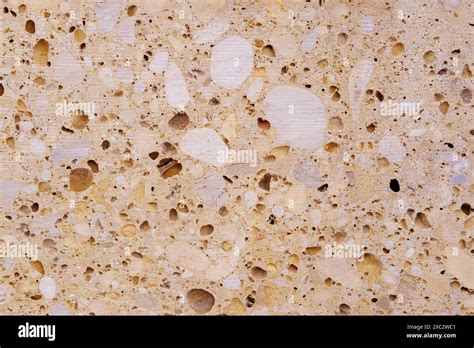 Empty Antique Marble Table Slab Of Sawn Shell Rock With Fine Texture Pebbles Pits Part