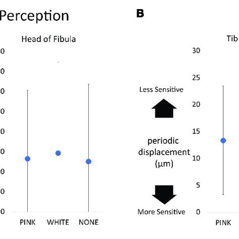 Labeled Plot Of Center Of Pressure Velocity Autocorrelation Function Download Scientific
