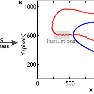 Constructing Centroid Motion Dataset A Centroid Motion Extraction