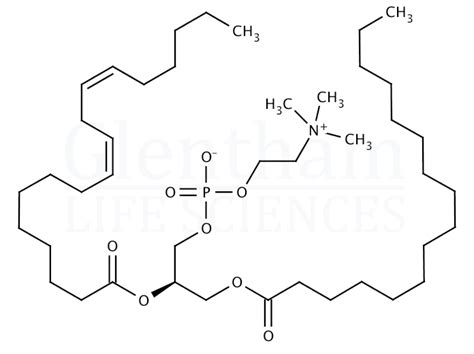 Phosphatidylcholine Structure
