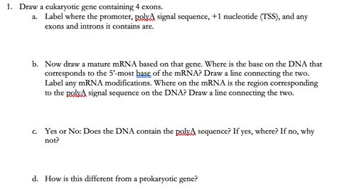 Solved Draw A Eukaryotic Gene Containing 4 Exons A Label