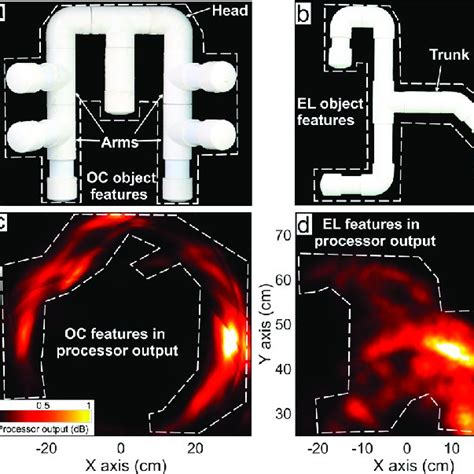 Bartlett Processor Visualisations With Dolphin Echolocation Data A B Download Scientific