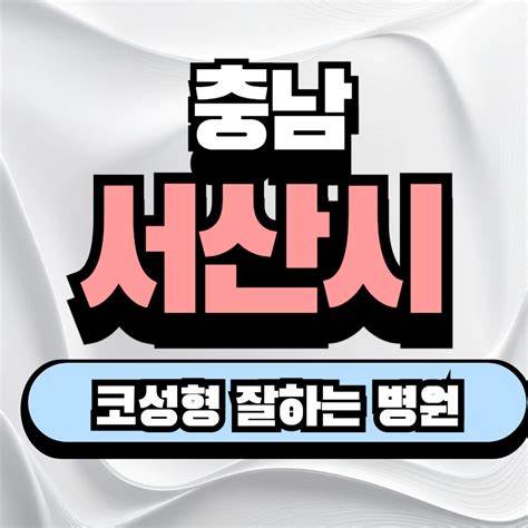 서산시 코 성형외과 잘하는 병원 추천 및 가격 비교 매부리코 코끝 콧끝 넓은 코 등 Loyal It